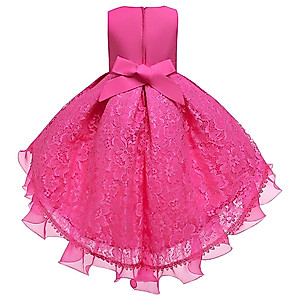 Flower Princess Girls Dress for Kids Wedding Bridesmaid First Communion Birthday Party Holiday Formal Prom Dance Evening Ball Gown Embroidery Lace Long Tutu Dresses Hot Pink 7-8 Years