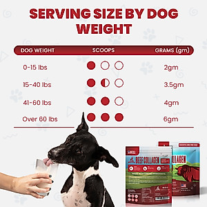 Grass fed Collagen for Dogs - Supports Health Skin & Coat, Hip, Joint Care & Cartilage Support + Skin Health and Mobility, 100% All Natural Collagen