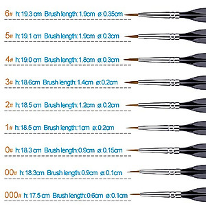 Detailing Paint Brush