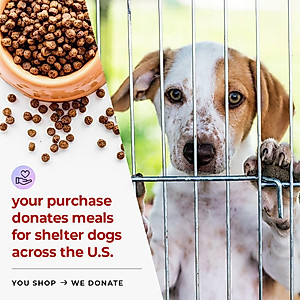 iHeartDogs Hemp Mushroom Chews for Dogs - Mobility, Calming, Allergy & Immune Support - 14 Mushroom Blend with Turkey Tail, Lion’s Mane, Shiitake & Green Lipped Mussels - 60 Count / 600mg Hemp