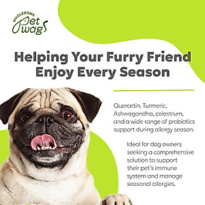 Wholesome Pet Wags Canine Allergy Soft Chews | Dog Allergy Relief Supplements, Anti Itch Bites for Dogs, for Healthy Immune Response, for Itchy Skin, Probiotic Treats | 60 Chews, 180g, 6.35 oz