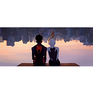 Spider-Man: Across The Spider-Verse - DVD + Digital