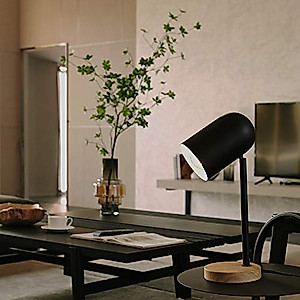 Globe Electric Luna Light Clamp-Arm Desk Lamp