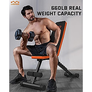 Lusper Weight Bench for Home Gym, Adjustable and Foldable Weight bench, Multi-purpose Workout Bench, Bench Press Sit up Incline Flat Decline all in 1, Stable Gym Bench for Full Body Exercise