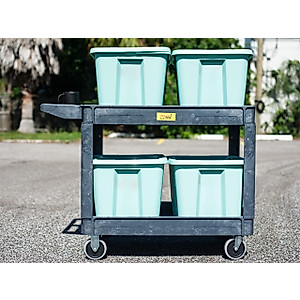 550lb Capacity Heavy Duty Plastic Utility Cart 46" L x 25-5/8" W with Handle 2 Shelves Pake Handling Tools