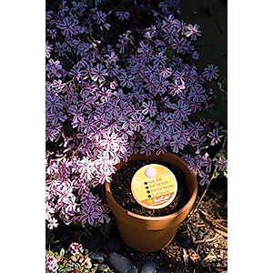 Luster Leaf 1875 Rapitest Suncalc Sunlight Calculator