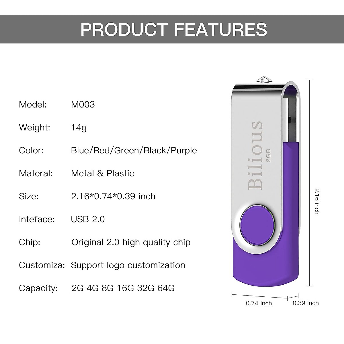 USB Flash Drive, Bilious Swivel Metal Style Thumb Drives with Led Indicator, Portable Fold Memory Stick Keychain Design U Disk (2GB, 10 Pack)