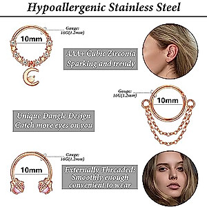 CASSIECA 9Pcs 16G Septum Rings for Women Surgical Steel Septum Jewelry Hinged Nose Rings Hoop CZ Butterfly Horseshoe Cartilage Earrings Hoop Helix Tragus Daith Piercing Jewerly