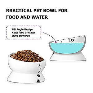 Y YHY Elevated Cat Food Bowl, Raised Pet Food and Water Bowl, Cat and Small Dog Bowl, Tilted Ceramic Cat Water Bowl No Spill,15oz, Dishwasher Safe