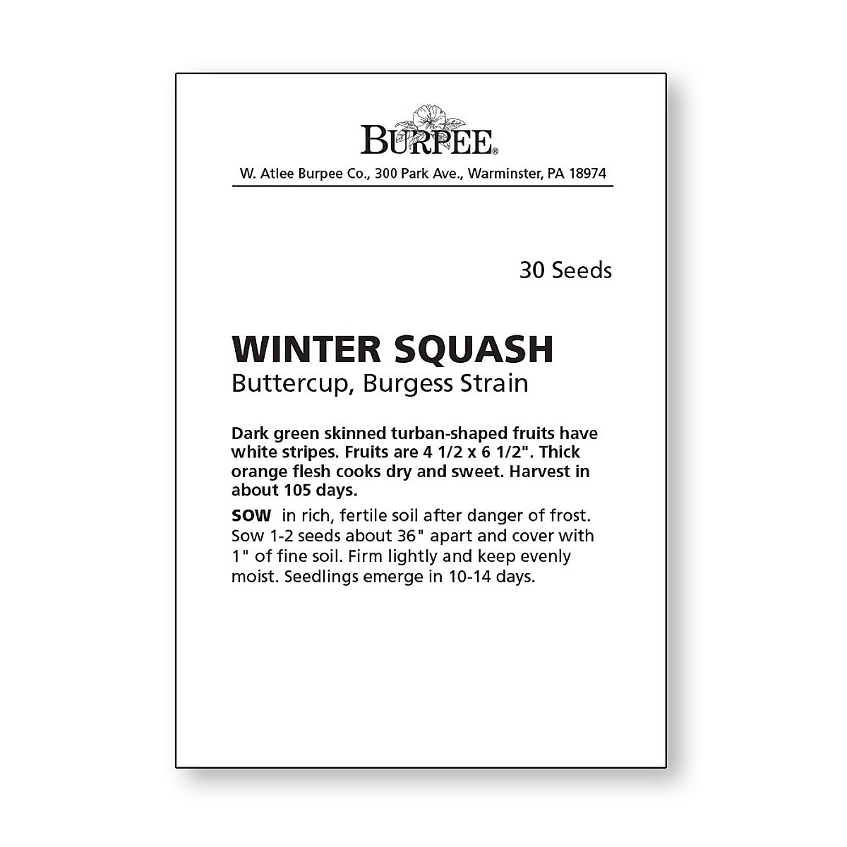 Burpee Buttercup Burgess Strain Winter Squash Seeds 30 seeds