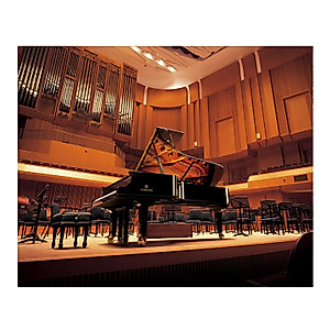 Yamaha YDPS54B Arius Series Slim Digital Console Piano, Black