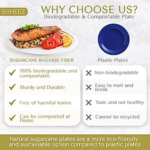 brheez 10 in. Disposable Plates Paper Plates Alternative Compostable Plates Heavy Duty [Pack of 60] Eco-Friendly 100% Natural Sugarcane Bagasse Fiber Biodegradable