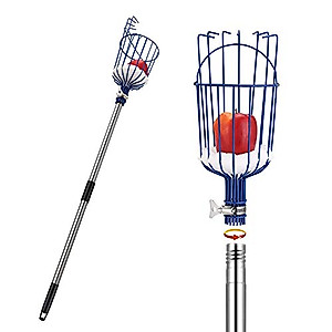 OAK LEAF Fruit Picker, 13 Foot Fruit Picker Pole with Basket Apple Orange Picker Tool Tree Fruit Catcher with Lightweight Stainless Steel Connecting Pole, Sturdy Basket with Foam Pad, Metal Clamp
