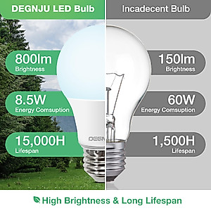 DEGNJU LED Light Bulbs Daylight 5000K, 60 Watt Equivalent LED Bulbs, A19 Standard Bulbs, 800 LM, 15000 Hours, E26 Base, Non-Dimmable, 8.5W LED Bulbs for Bedroom Living Room 24 Pack