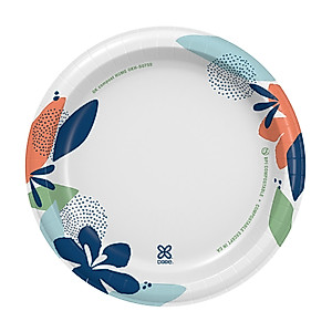 Dixie Paper Plates, 8 ½ inch, Lunch or Light Dinner Size Printed Disposable Plate, Packaging and Design May Vary 90 Counts (Pack of 1)