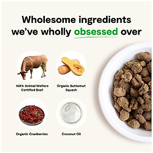 Open Farm Freeze Dried Raw Dog Food, Humanely Raised Meat Recipe with Non-GMO Superfoods and No Artificial Flavors or Preservatives (13.5 Ounce (Pack of 1), Grass Fed Beef Recipe)