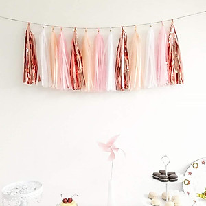 20PCS Shiny Tassel Garland Tissue Paper Tassel Banner,Table Decor,Tassels Party Decor Supplies for Wedding,Birthday,Bridal/Baby Shower,Anniversary,DIY Kits - (Rose Gold/Peach Color/Light Pink/White)
