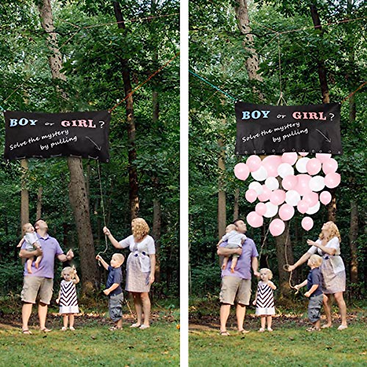 FUKUGAWA Gender Reveal Party Decoration | Boy and Girl Gender Reveal Drop Box | Blue and Pink 6 Inch Colorful Balloons with 48" Gender Reveal Drop Bag (57 Pcs)