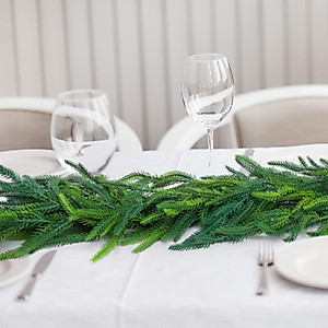 Jutom Christmas Real Touch Norfolk Pine Garlands Artificial Greenery Faux Christmas Norfolk Pine Garlands for Holiday Seasonal Indoor Home Decor Mantle(2 Pcs,60 Inches)