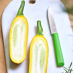 Opinel Les Essentials+ No. 312 Paring Knife, Corrosion Resistant + Dishwasher Safe, Made in France, Green