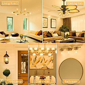 winshine E12 LED Bulb, 40W Equivalent, 3000K Soft White, Dimmable Candelabra LED Light Bulbs for Chandelier, Edison A15 LED Light Bulbs E12 Small Base for Ceiling Fan, 120V, CRI85+, 400LM, 8 Pack