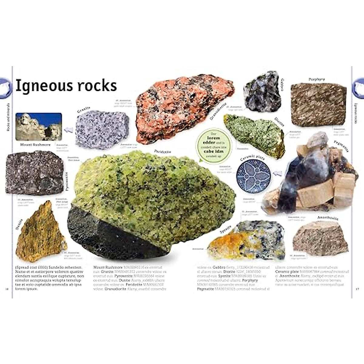 The Rock and Gem Book: And Other Treasures of the Natural World (DK Our World in Pictures)
