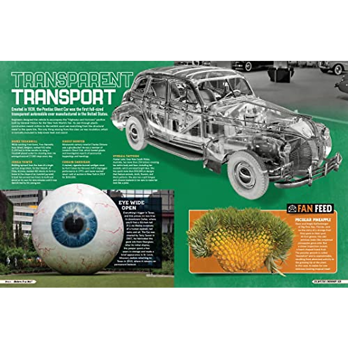 Ripley's Believe It Or Not! Escape the Ordinary (19) (ANNUAL)