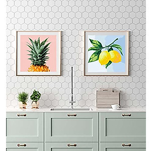 CRAFTBARN - 2 Framed DIY Paint by Numbers for Adults Beginner, Paint by Numbers for Adults Framed, 10x10