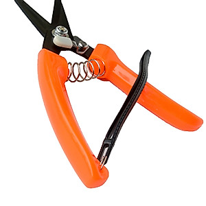 Hoof Trimmers Goat Hoof Trimming Shears Nail Clippers for Sheep, Alpaca, Lamb, Pig Hooves Multiuse Carbon Steel Trimmer