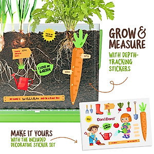 Root Viewer Kit for Kids - Easter Gifts - Grow Your Own Plant for Boys & Girls - Science STEM Toy & Craft Growing Kits for Ages 4-8 Birthday Gifts for Boy, Girl 4, 5, 6, 7, 8, Year Old - Gardening Toy