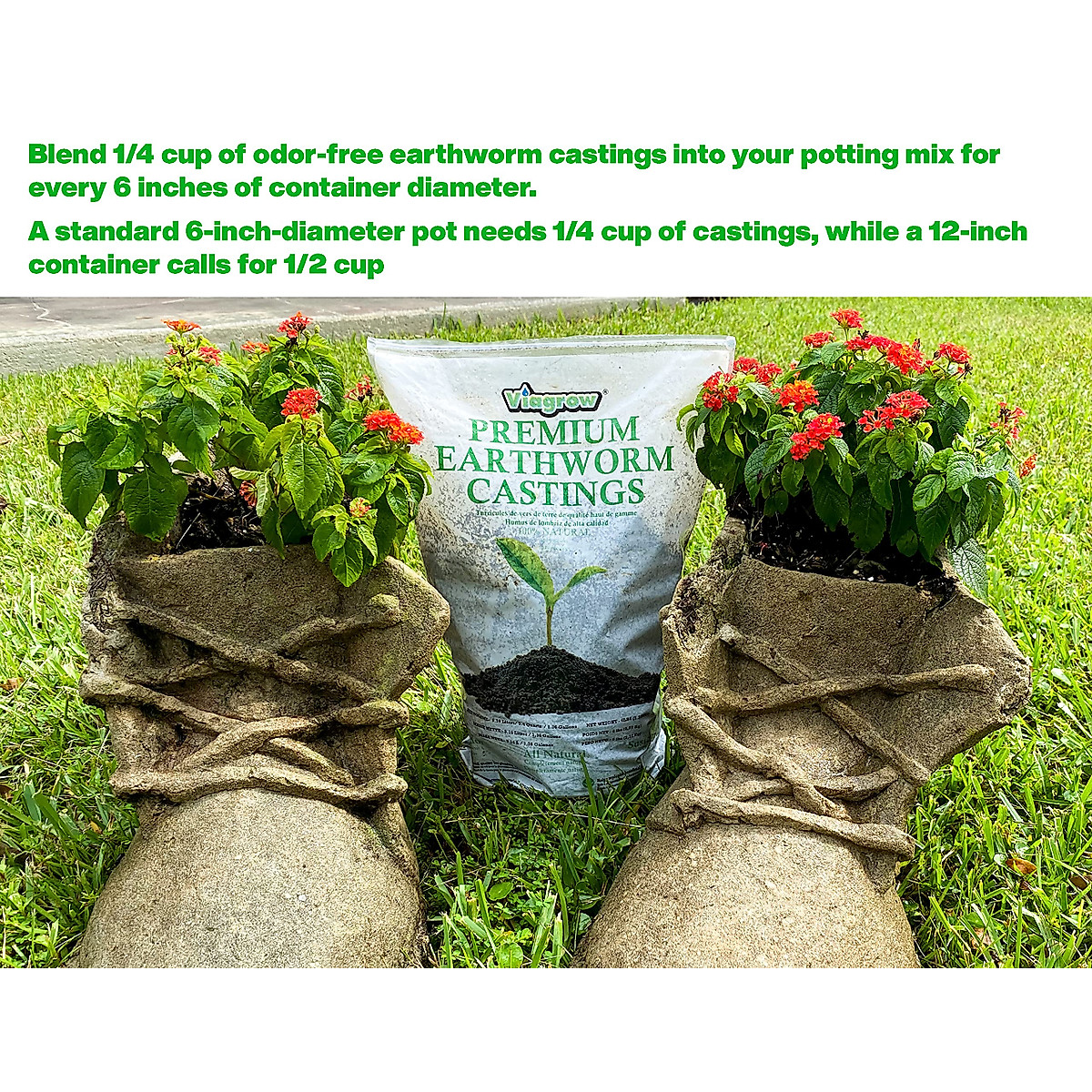 Viagrow Premium Earthworm Castings, Soil Builder, Soil Amendment (1, 1 LB)