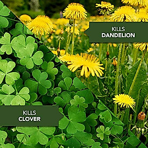 BIOADVANCED 704140 All-in-One Lawn Weed And Crabgrass Killer Garden Herbicide, 40-Ounce, Concentrate