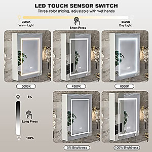 Mepplzian LED Bathroom Mirrored Medicine Cabinet Lighted Medicine Cabinet Wall Mounted Mirror Cabinet with 3 Storage Shelf Medicine Cabinet with Led Lights and Defogger,US Plug Adapter,23.6x29.9Inch