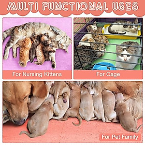 Panelee 20 Pcs Reusable Puppy Pads Waterproof Guinea Pee Pad Washable Pee Pads for Dogs Fleece Cage Liner Blankets Accessories Small Animals Bedding Mats Sleep Mat Pad Cover (Multicolor,18x24 in)