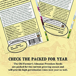 The Old Farmer's Almanac Heirloom Organic Cilantro Seeds (Slow Bolt) - Approx 180 Seeds - Certified Organic, Non-GMO, Open Pollinated, Heirloom, USA Origin