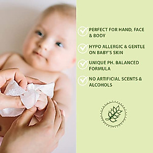 WBM Care Unscented Baby Wipes | 6 Flip-Top Packs (288 Total Wipes) | Gentle and safe for your baby’s sensitive skin | Perfect for quick and convenient cleaning