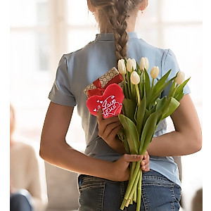 DolliBu I Love You Red Heart Plush - Mini Stuffed Heart Plush Toy, Special Anniversary Valentines Day Heart Plush Accent, Cute Small Heart Shaped Plush Decor, Romantic Stuffed Animals Heart- 3 Inches