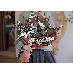 BBJ WRAPS Korean Style Waterproof Floral Wrapping Paper Single Color Bouquet Wrapping Paper Roll for Flowers, 22.8 Inch x 8 Yard, 1 Roll (Beige White)