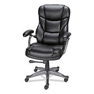 Alera ALEBN41B19 18.11 in. - 22.05 in. Seat Height Birns Series High-Back Task Chair Supports Up to 250 lbs. - Black Seat/Back, Chrome Base