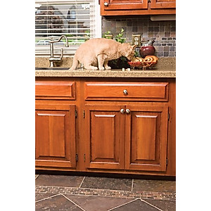 PetSafe Pawz Away Spray Deterrent