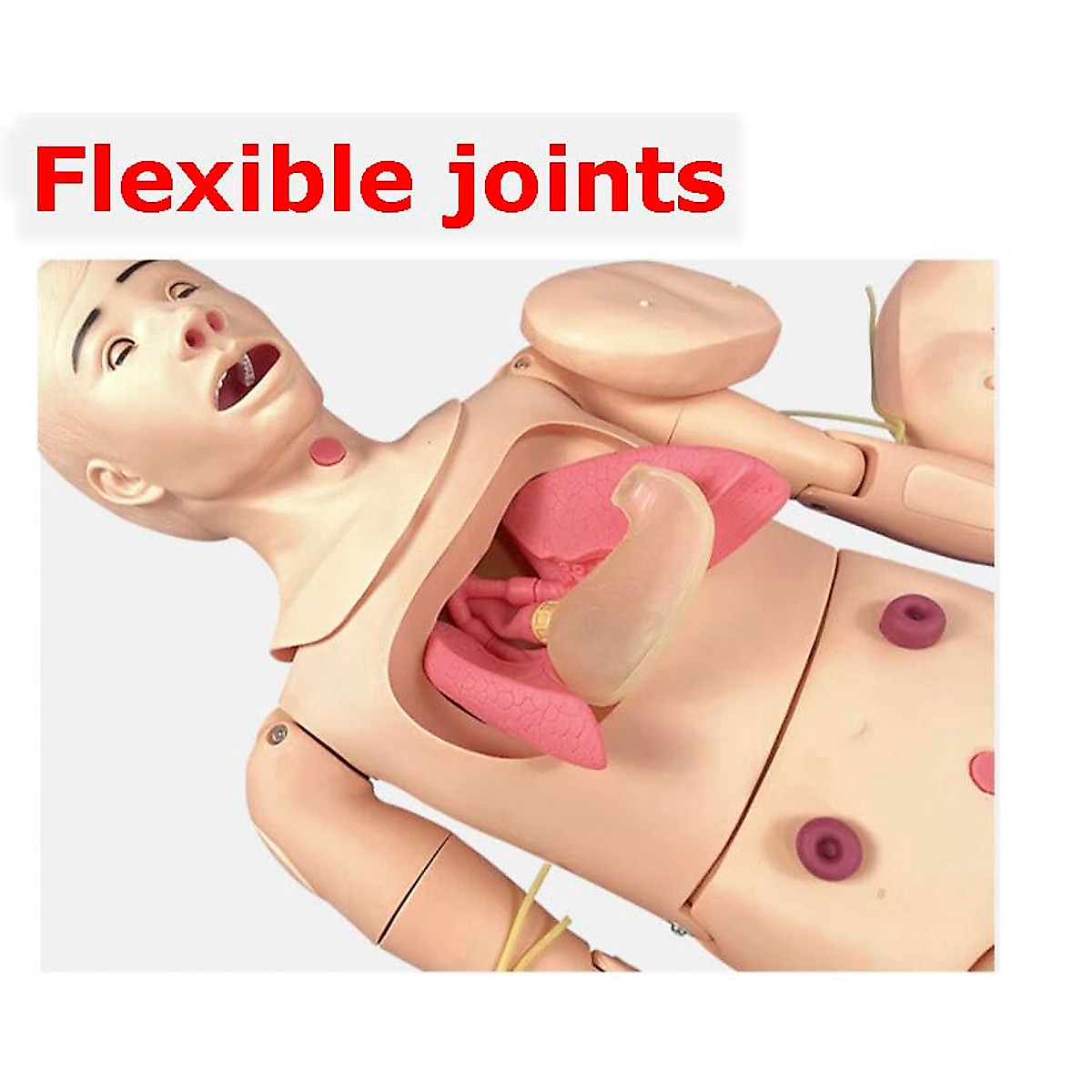 PreAsion Manikin Training 24 Wound ModulesTrauma Manikin Care Multi Functional Anatomical Human Model Advanced Training Manikin Model Demonstration Manikin for Men and Women Life-Size Nursing Model