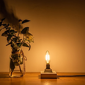 Beonllay 12 Volt LED Candelabra Bulbs E12 Base Light Bulb 25 Watt Warm White 2700K, 12-24 Volt Low Voltage Candelabra Bulbs LED 2W for 12 Volt System, 6 Pack