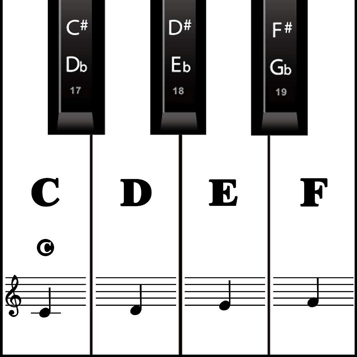 MUYOS Piano Keyboard Stickers for 88/61/ 54/49 Key, Black Transparent Removable for Kids Beginners (Black)