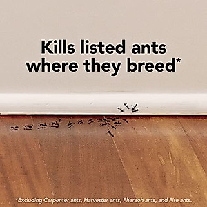 Raid Max Liquid Ant Bat; Kills Ants Where They Breed, For Indoor and Outdoor Use; 4 Bait Stations