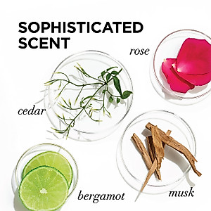 L’Oréal Paris EverPure Moisture Sulfate Free Conditioner for Color-Treated Hair, Rosemary, 33.8 Fl; Oz