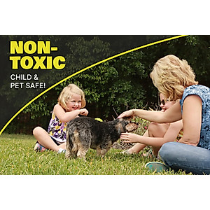 CedarStop 32 Ounce Essential Oil Yard Spray - Plant Based Flea, Tick and Mosquito Repellent Pest Control Spray Treatment and Insect Killer - Safe Around Kids, Pets, and Plants