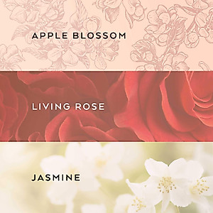 LOLLIA In Love Eau de Parfum, 3.4 fl. oz. - Classic Petal – Beautifully Captivating Perfume, Women’s Perfume, Eau de Parfum Spray for Women, Women’s Fragrance