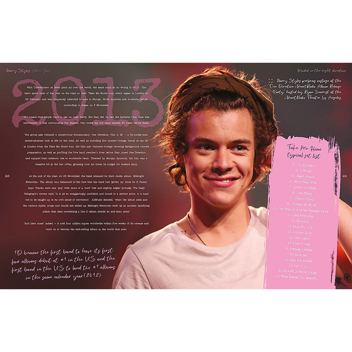 Harry Styles: Adore You: The Illustrated Biography
