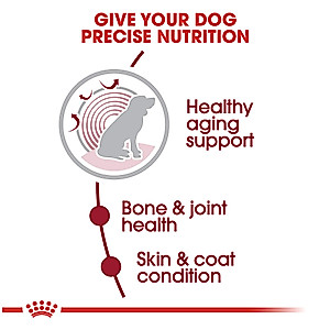 Royal Canin Medium Aging 10+ Senior Dry Dog Food, 30 lb bag