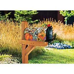 Studio M Autumn Birdhouse Decorative MailWrap, The Original Magnetic Mailbox Cover, Made in USA, Superior Weather Durability, Standard Size fits 6.5W x 19L Inch Mailbox